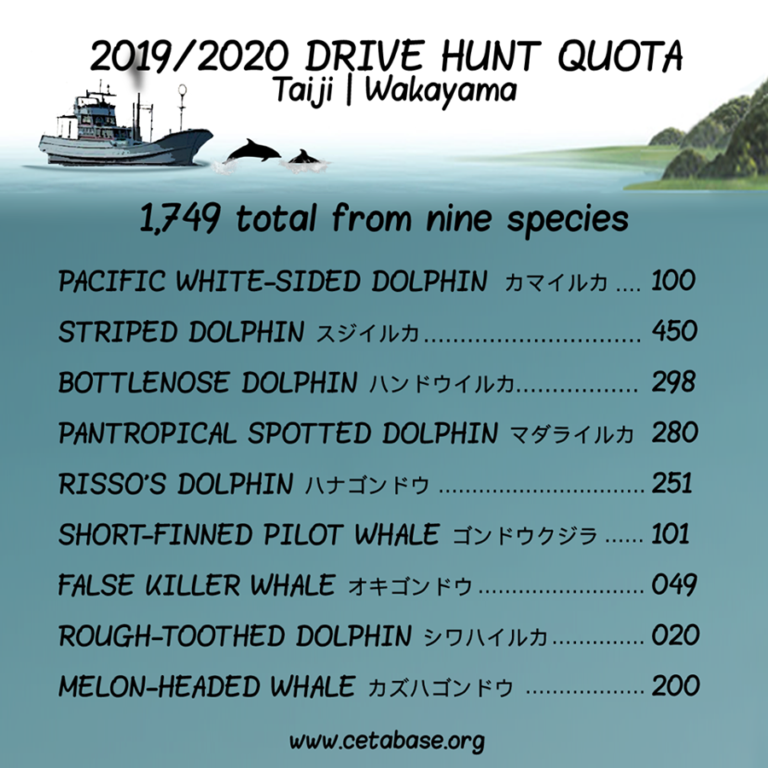 Meeresakrobaten | Taiji: Delfin-Jagd hat begonnen